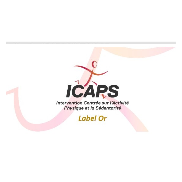 Labellisation ICAPS NIVEAU OR - Collège Jean Corentin Carré - Le Faouët